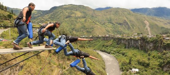 Bungee Jump Decals – Vinyl Disorder