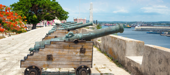 Cannon Decals – Vinyl Disorder