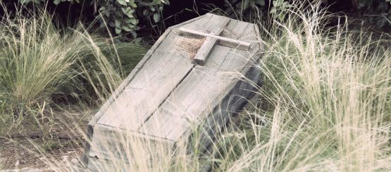 Coffin Decals – Vinyl Disorder