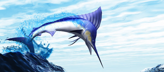 Swordfish Decals – Vinyl Disorder