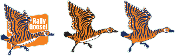 RallyGooseTriple – Vinyl Disorder