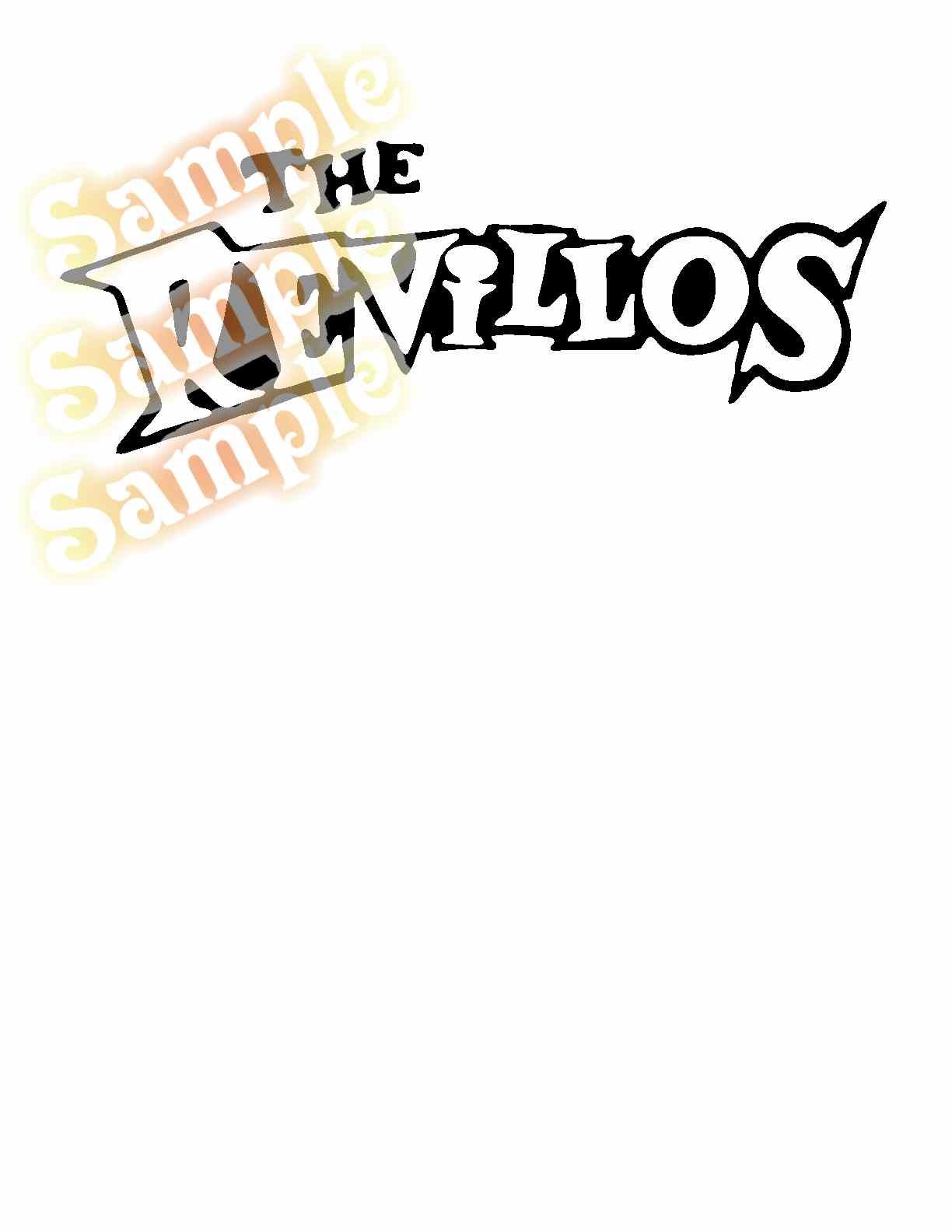 The Revillos Band Decal – Vinyl Disorder
