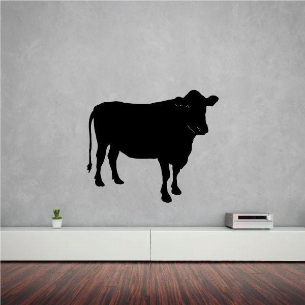 Angus Cow Watching Decal – Vinyl Disorder
