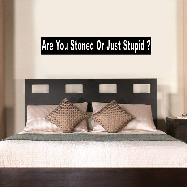 Are you Stoned or just stupid Decal – Vinyl Disorder