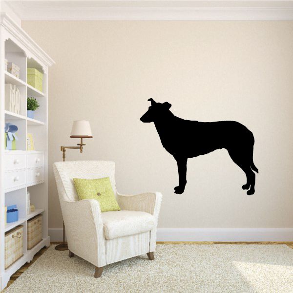 Curious Smooth Collie Decal – Vinyl Disorder