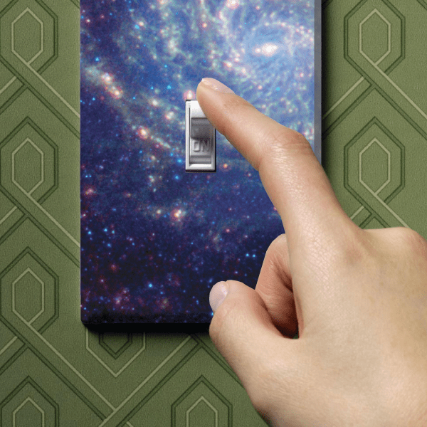 Custom Switchplate Skin - Vinyl Wrap Sticker – Vinyl Disorder