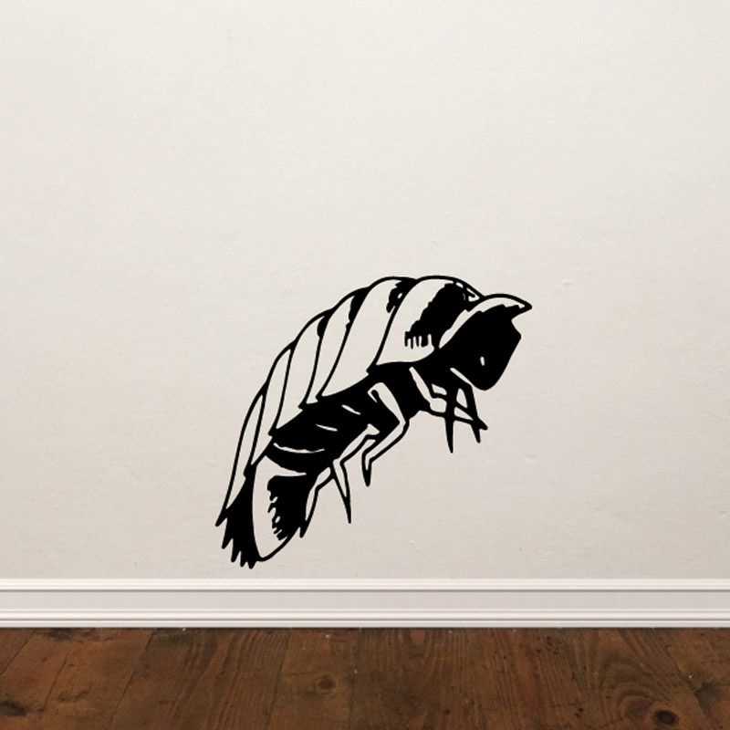 Detailed Rolly Polly Decal – Vinyl Disorder