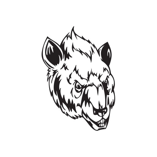 School Mascot Wall Decal - Vinyl Decal - Car Decal - DC 271 – Vinyl ...